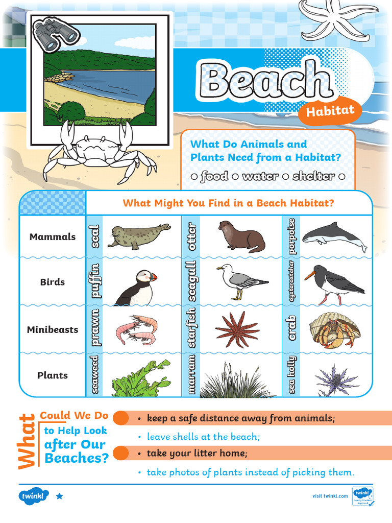 Exploring Beach Habitats and Wildlife | PDF | Habitat | Coast