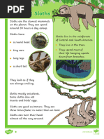 Sloths | PDF | Mammal Orders | Herbivorous Animals