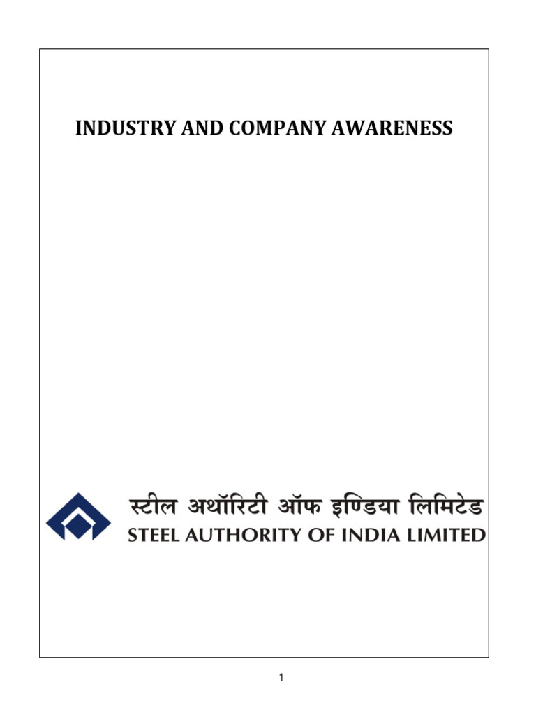 Ica 2024 | PDF | Steel | Economies