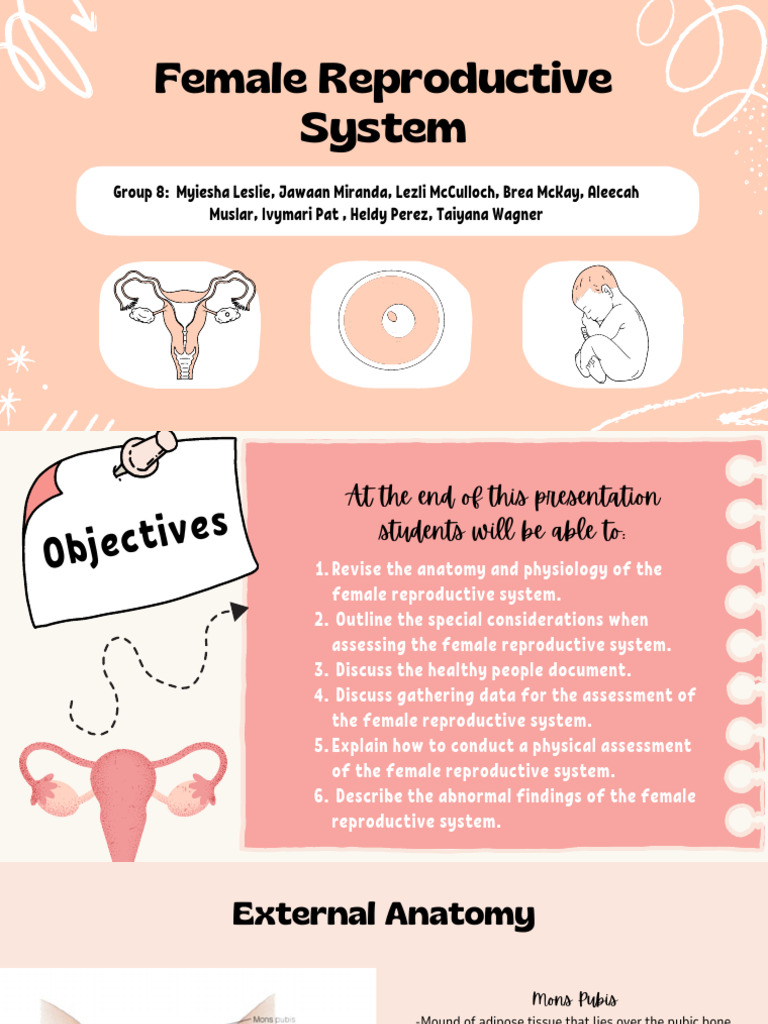 Female Reproductive System | Download Free PDF | Menstrual Cycle | Ovary