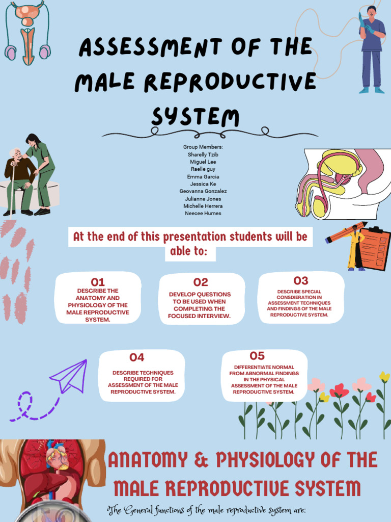Male Reproductive System Assessment Guide | PDF | Testicle ...