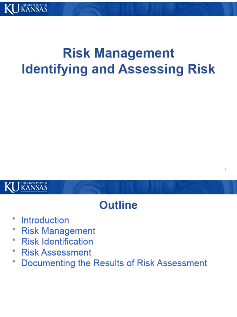 Risk Identification and Assessment | Download Free PDF | Risk ...