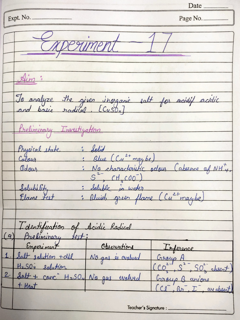 Chemistry Practical (17-20) | PDF