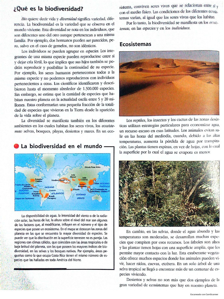 Teoria TP1 2do 2024 | PDF