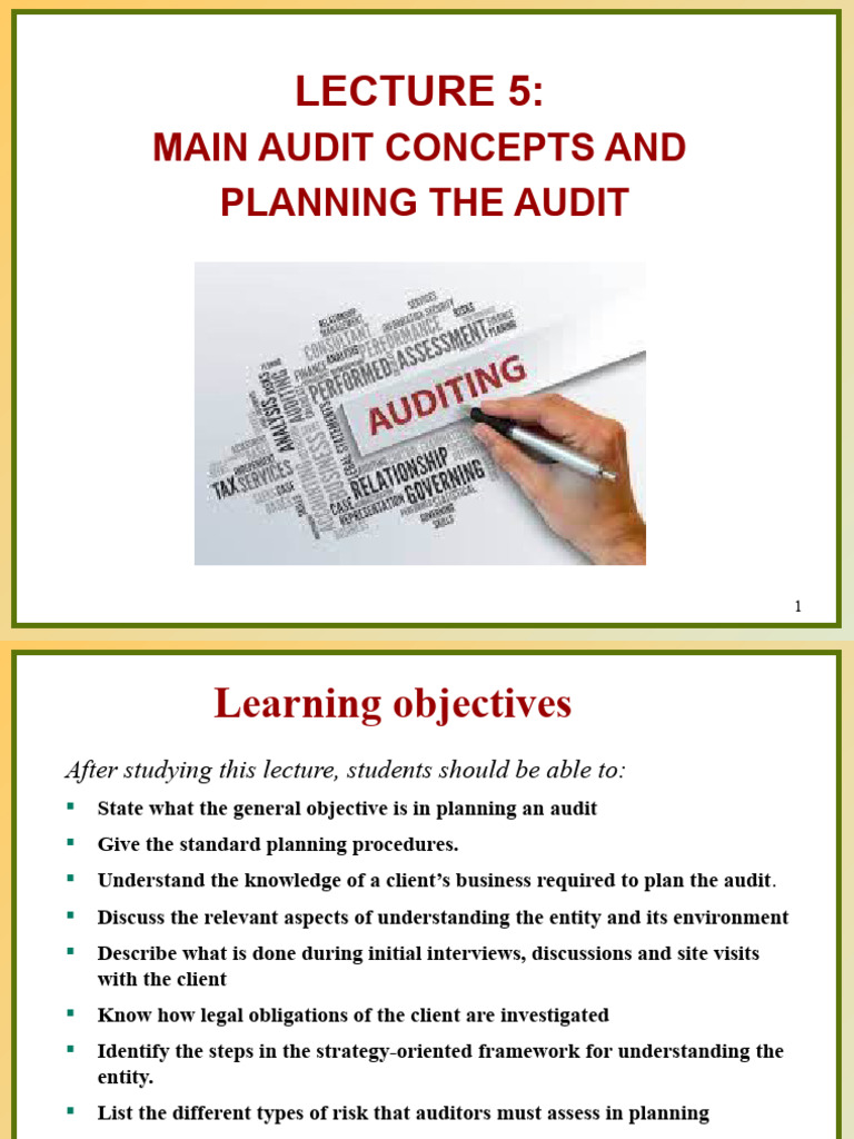 Audit Planning and Risk Assessment Guide | PDF | Audit | Internal Control