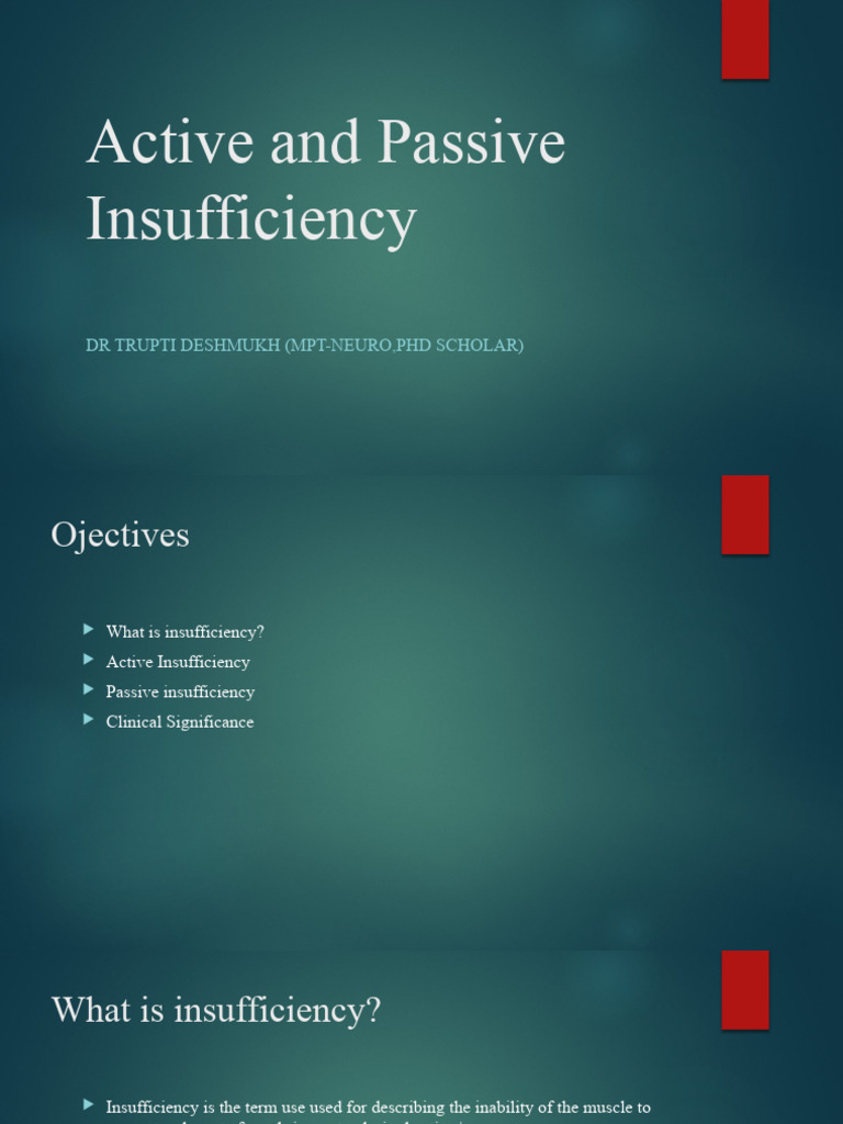 Understanding Active and Passive Insufficiency | PDF | Human Anatomy ...