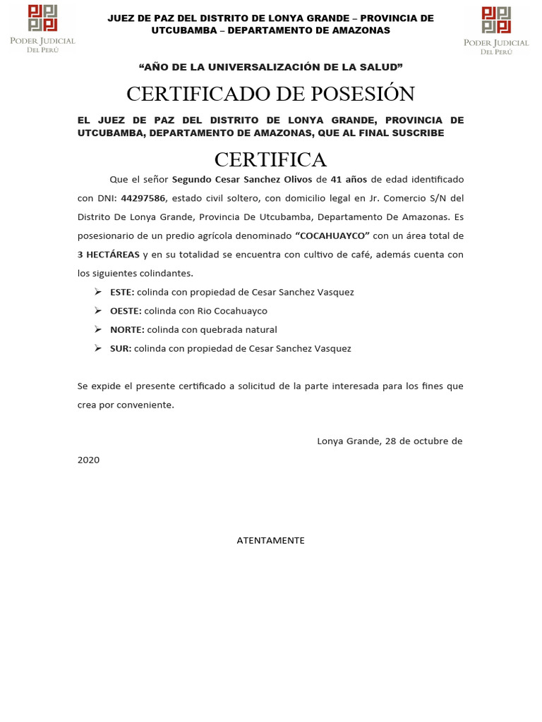 Constancias Lonya Grande | PDF