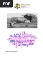 Research Task Grade 12 2024 | PDF | Geography | Data
