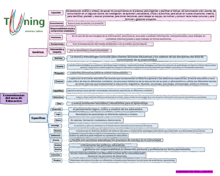 Proyecto Tuning - Competencias en Educacion | PDF | Aprendizaje | Enseñando