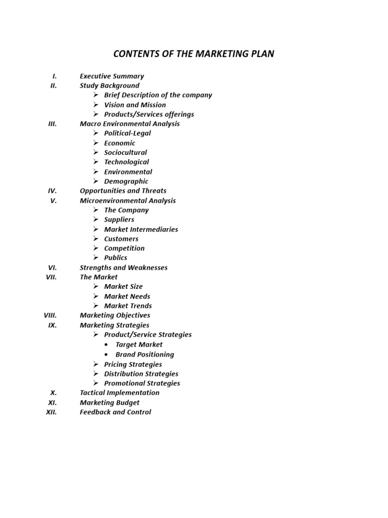 SAMPLE Marketing Plan | PDF | Product (Business) | Sustainability