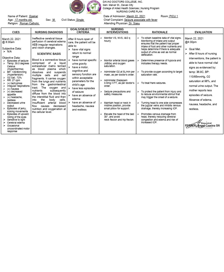 Nursing Care Plan Sample | PDF | Vein | Blood