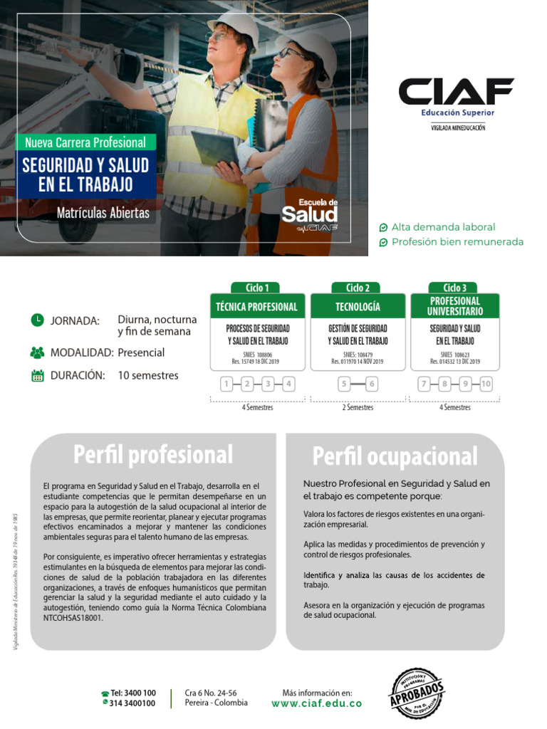 Plan de Estudio Seguridad y Salud en El Trabajo | Descargar gratis PDF | Seguridad y salud ...