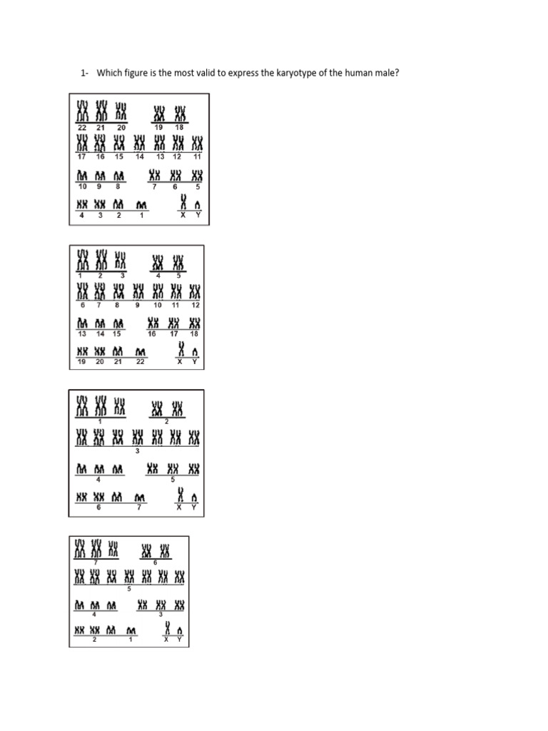 Genetic Inheritance Scenarios | PDF | Genetic Disorder | Blood Type