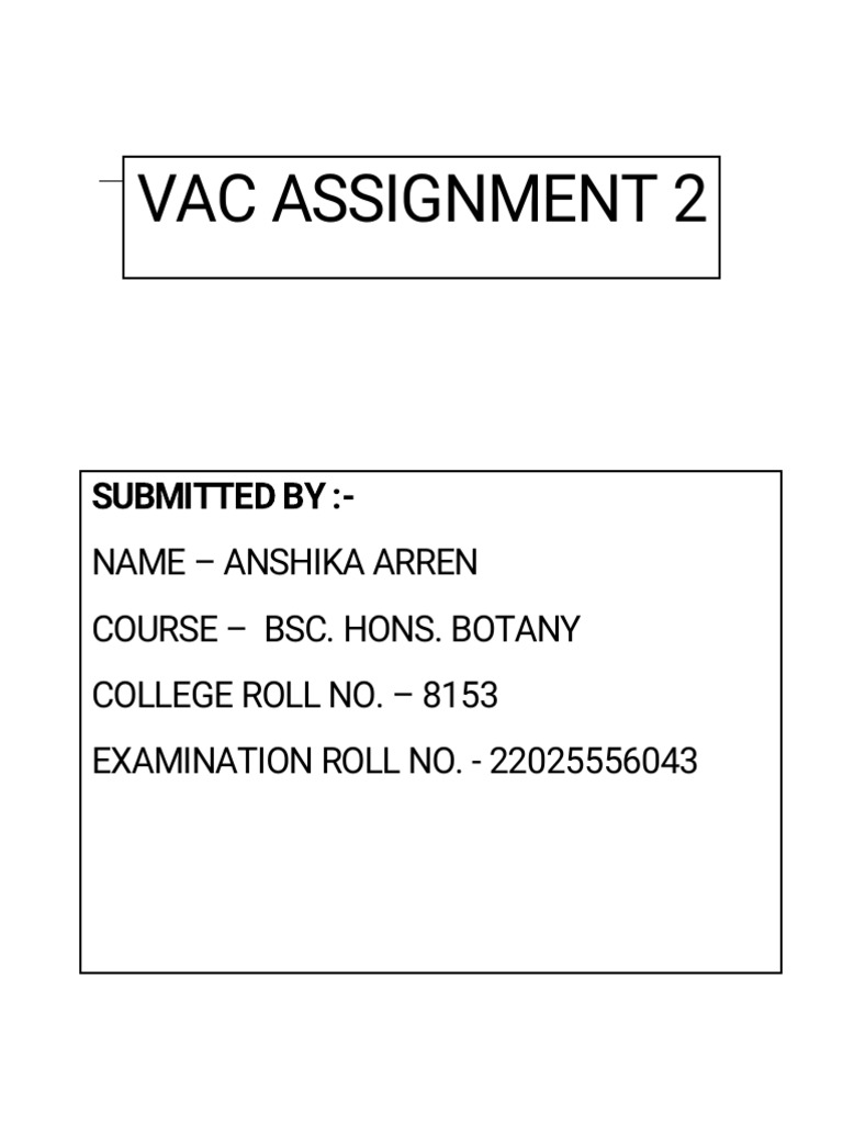 Vac Digital Empowerment | PDF | Computers