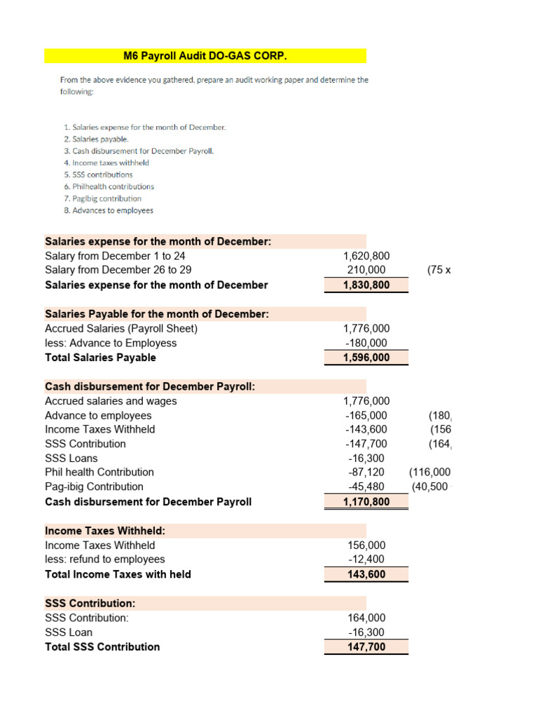 December Payroll Audit Summary | PDF