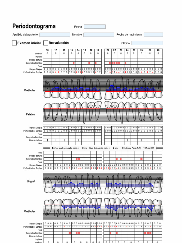Periodontal Chart Online | PDF | Home & Garden | Computers