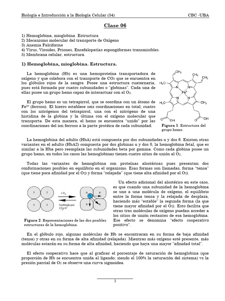 Bio 54 Clase 06 | PDF | Membrana celular | Hemoglobina