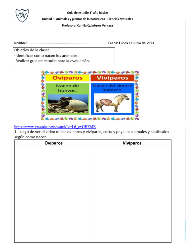 Guia de Estudio Caracteristicas de Los Animales | PDF | Color