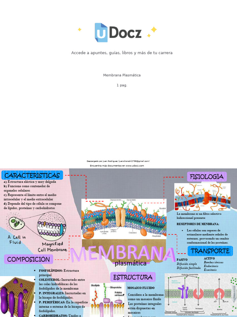 membrana-plasmatica-245720-downloadable-4104851 | PDF | Membrana celular | Bicapa lipídica