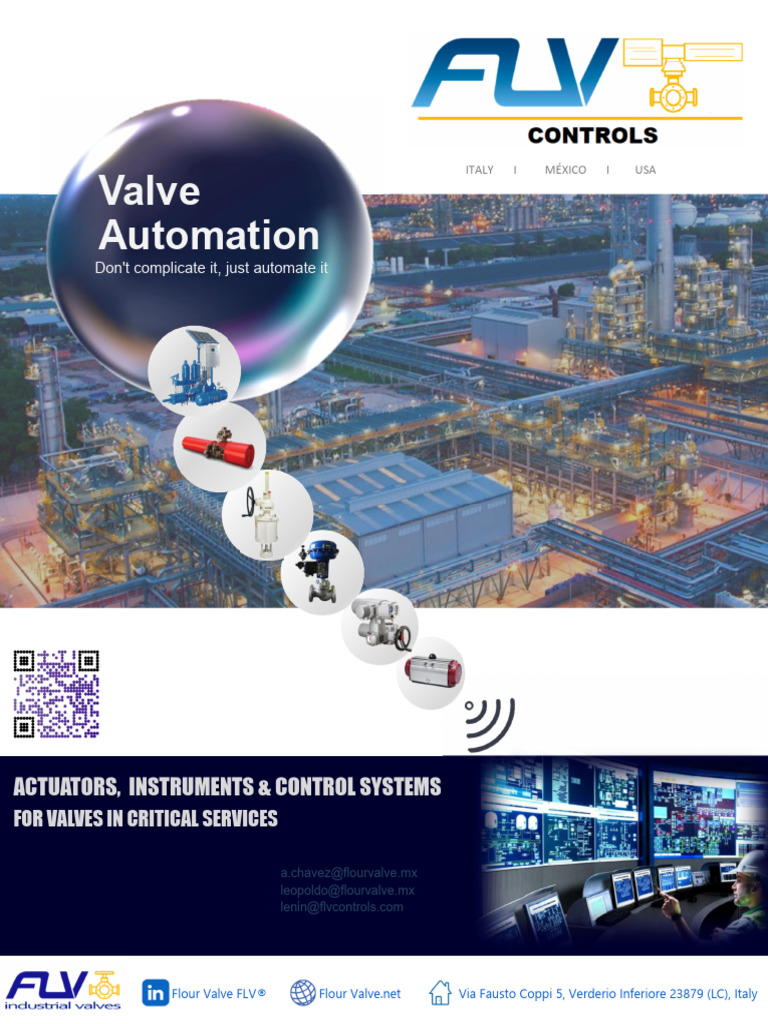 FLV Valve Flyer 2024 | PDF