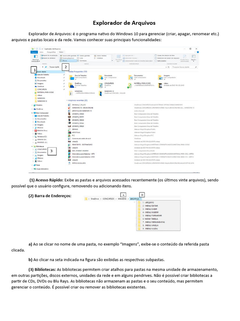 Explorador de Arquivos | PDF