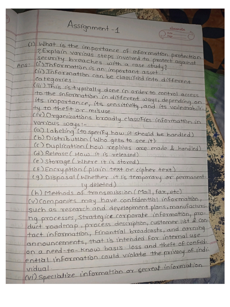 sic assignment | PDF