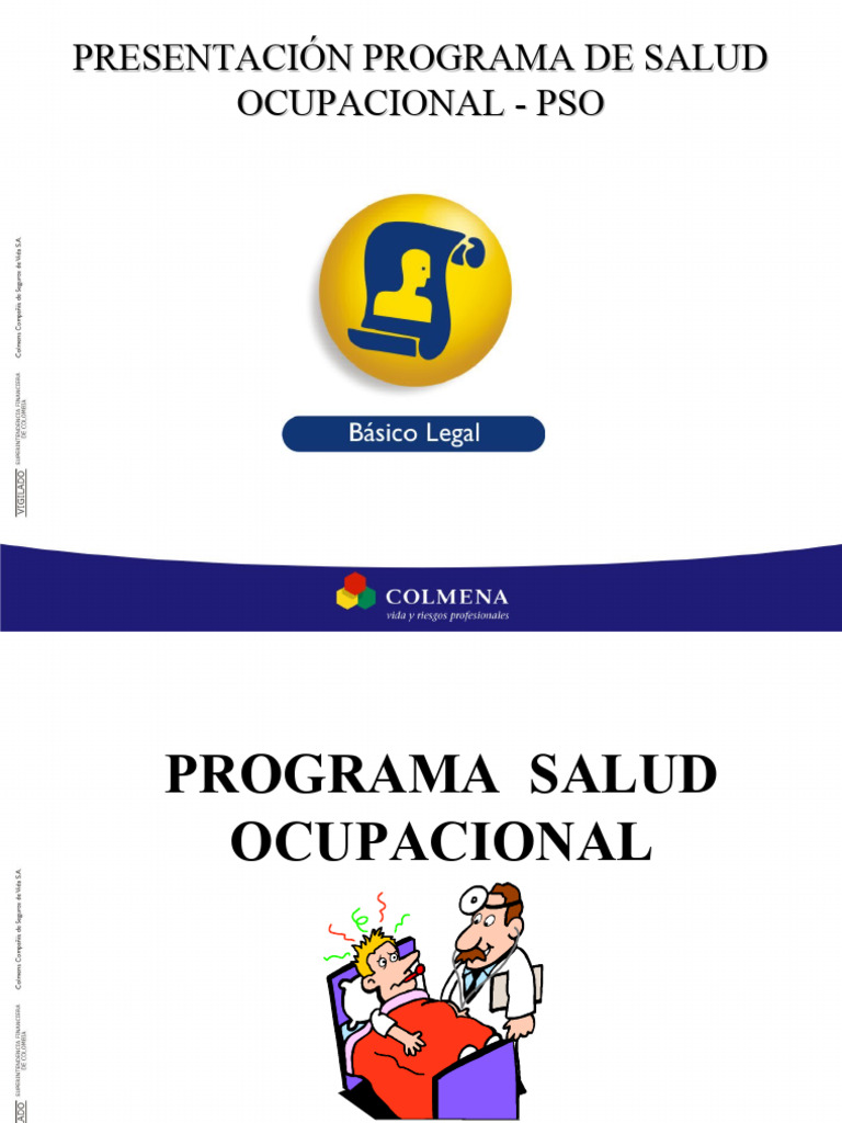 Programa de Salud Ocupacional: Guía Completa | PDF | Seguridad y salud ...