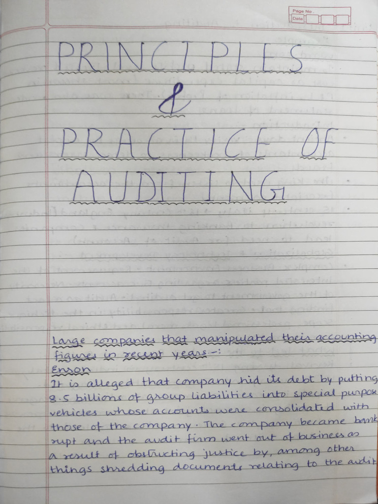 Audit Notes | PDF