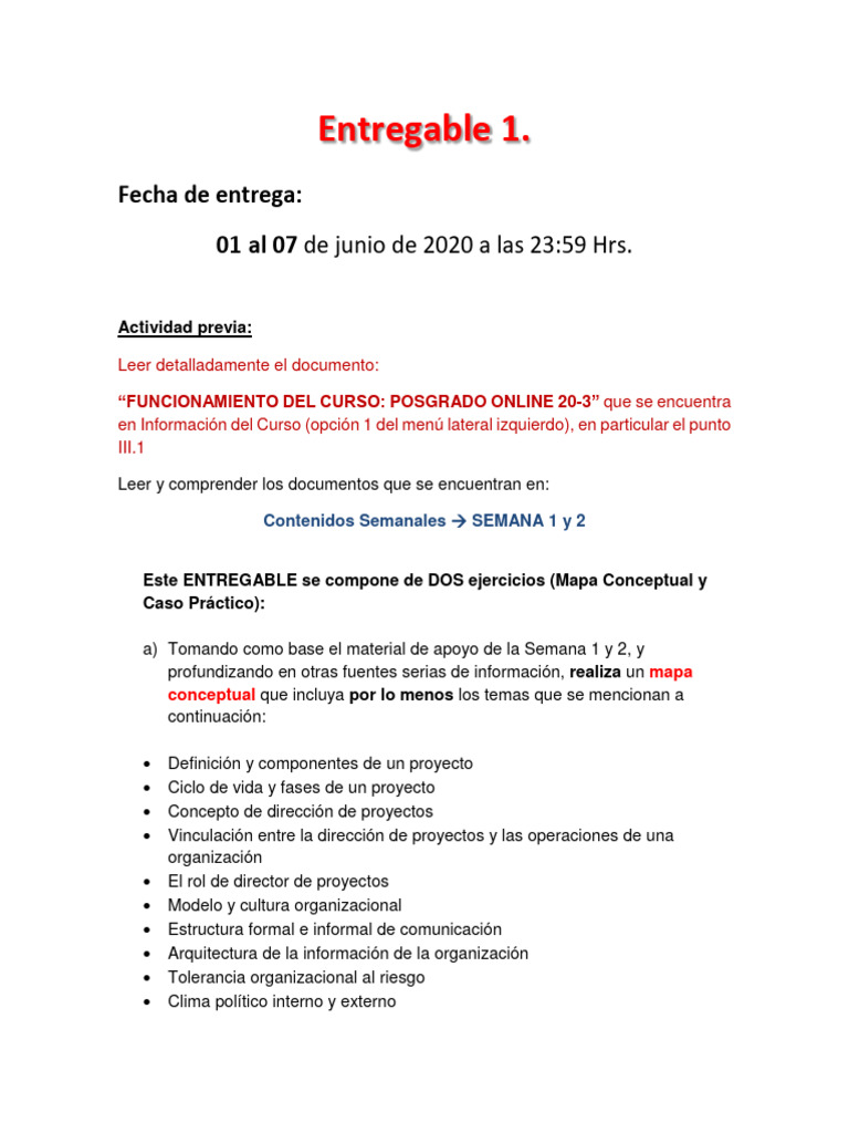 DEP Entregable 1 Rubrica | PDF | Software | Informática