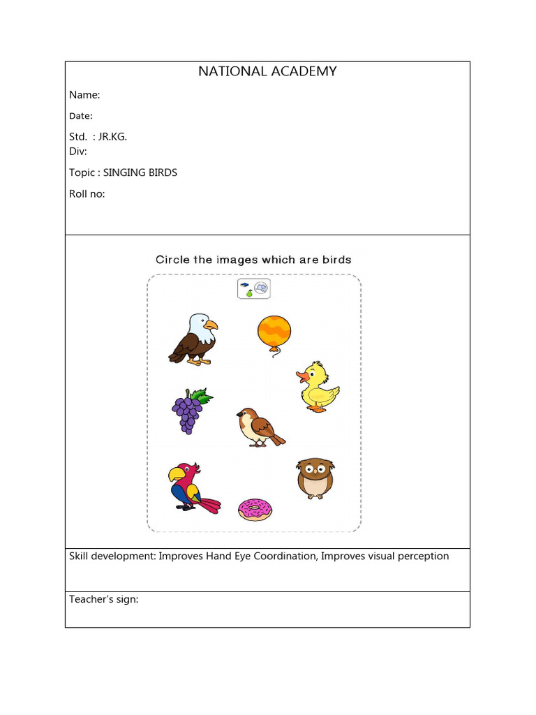 JR KG Worksheet 5 | PDF