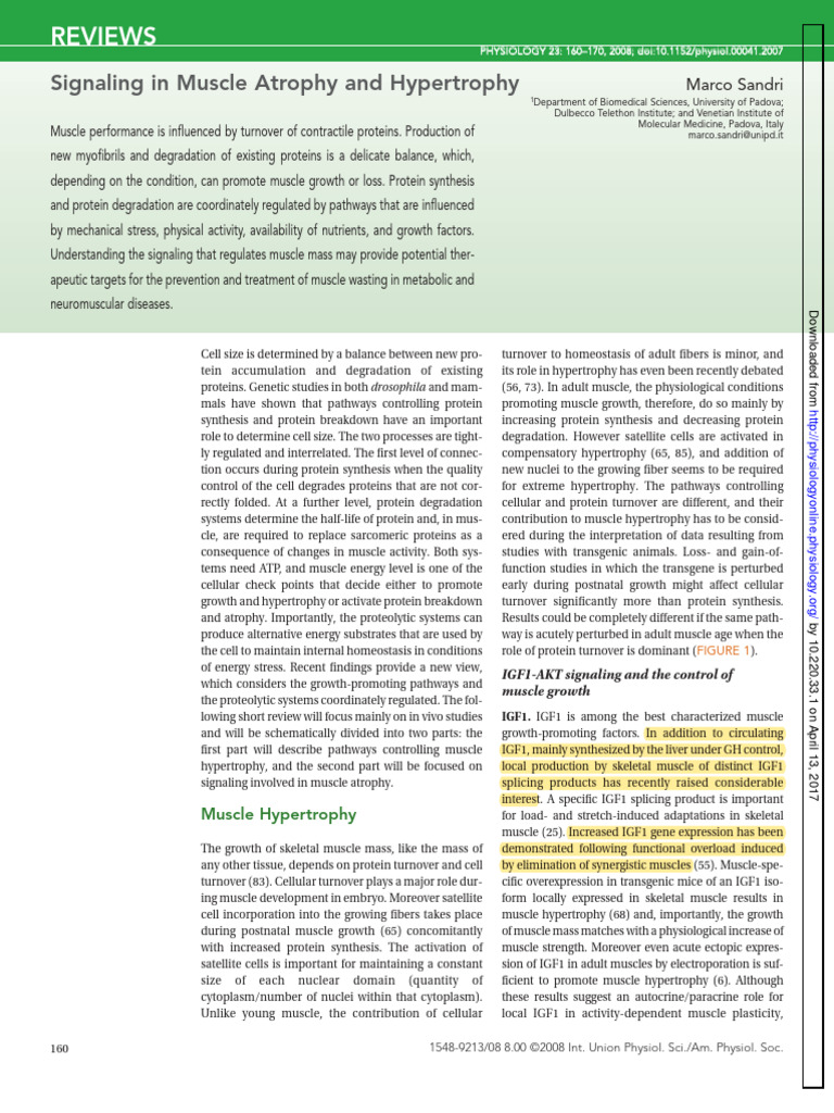 Signaling-in-Muscle-Atrophy-and-Hypertrophy | PDF | Protein Kinase B ...