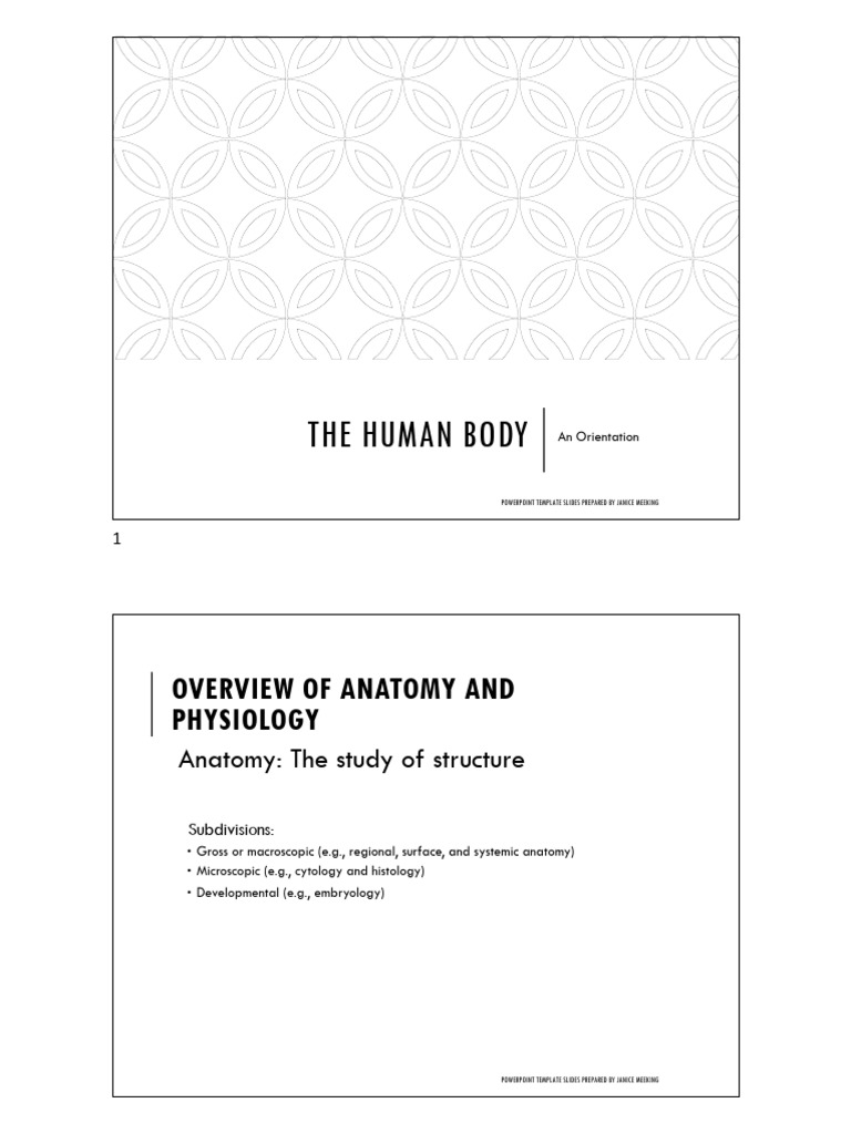 Overview of Human Anatomy & Physiology | PDF | Homeostasis | Anatomical ...