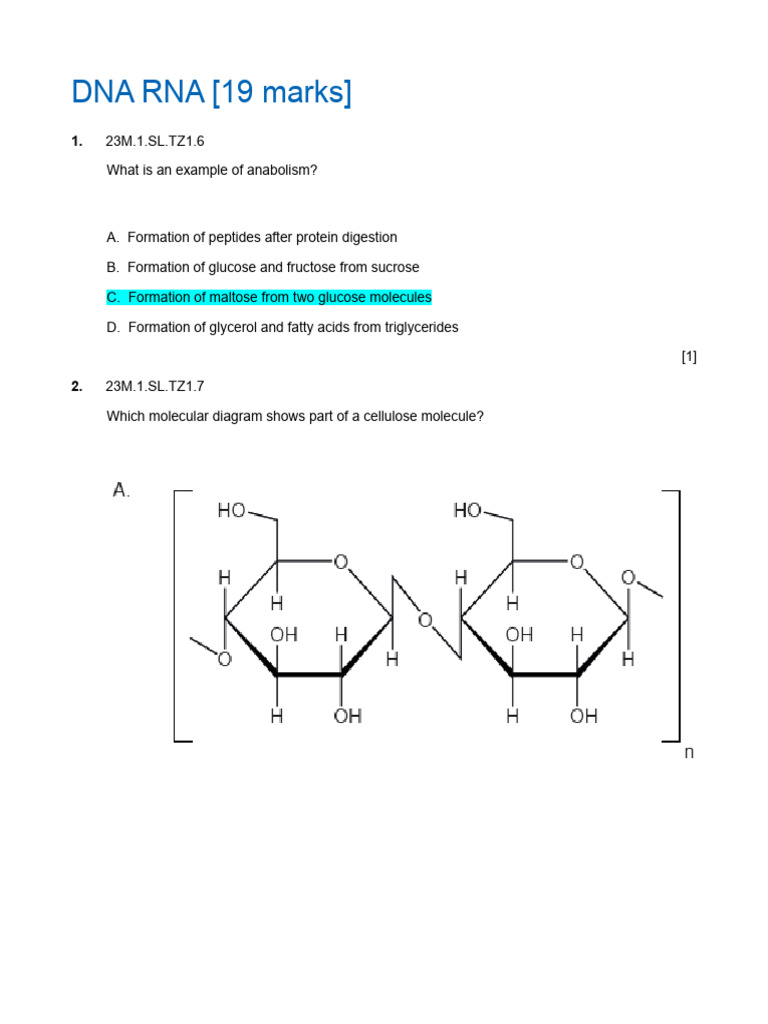 Dna Rna | PDF | Dna | Cellular Respiration