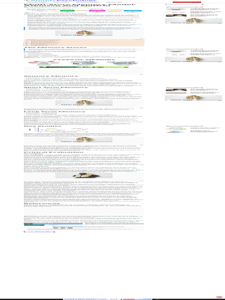 Multi Store Memory Model Atkinson And Shiffrin Pdf Long Term Memory Memory