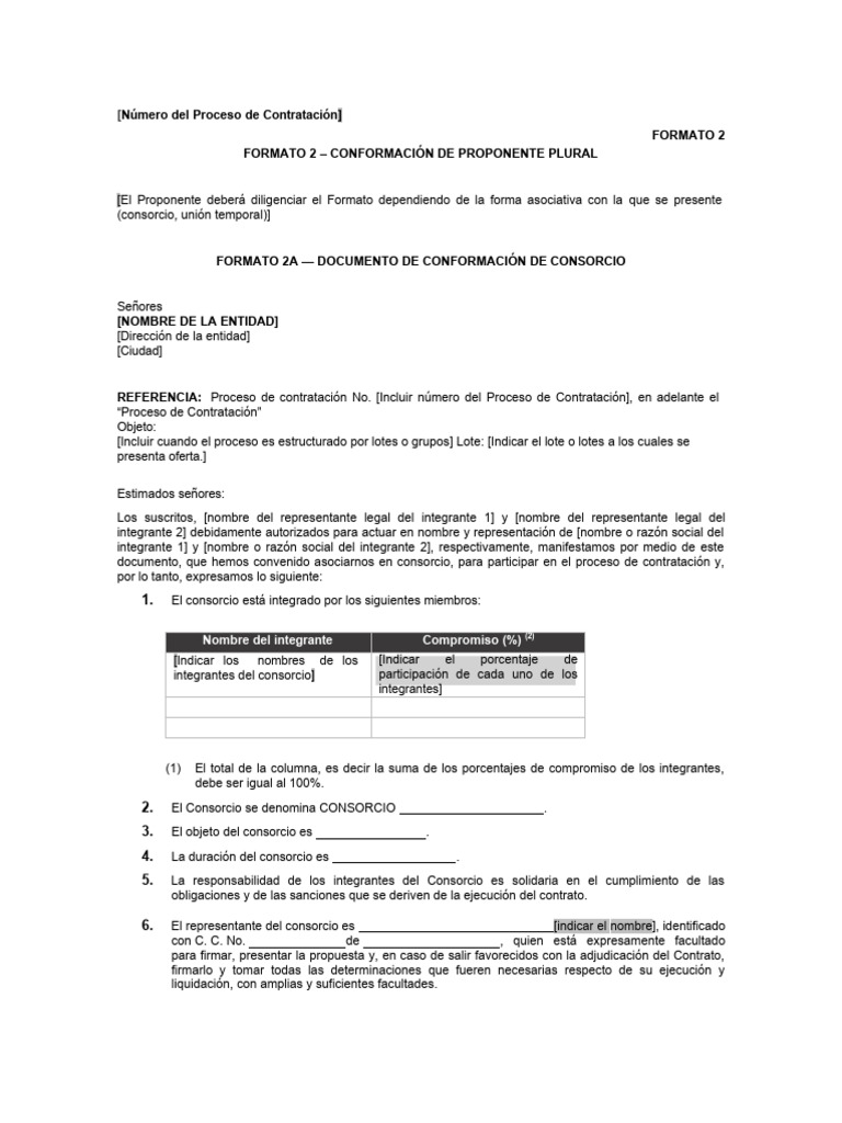 Conformacion de Proponente Plural | PDF