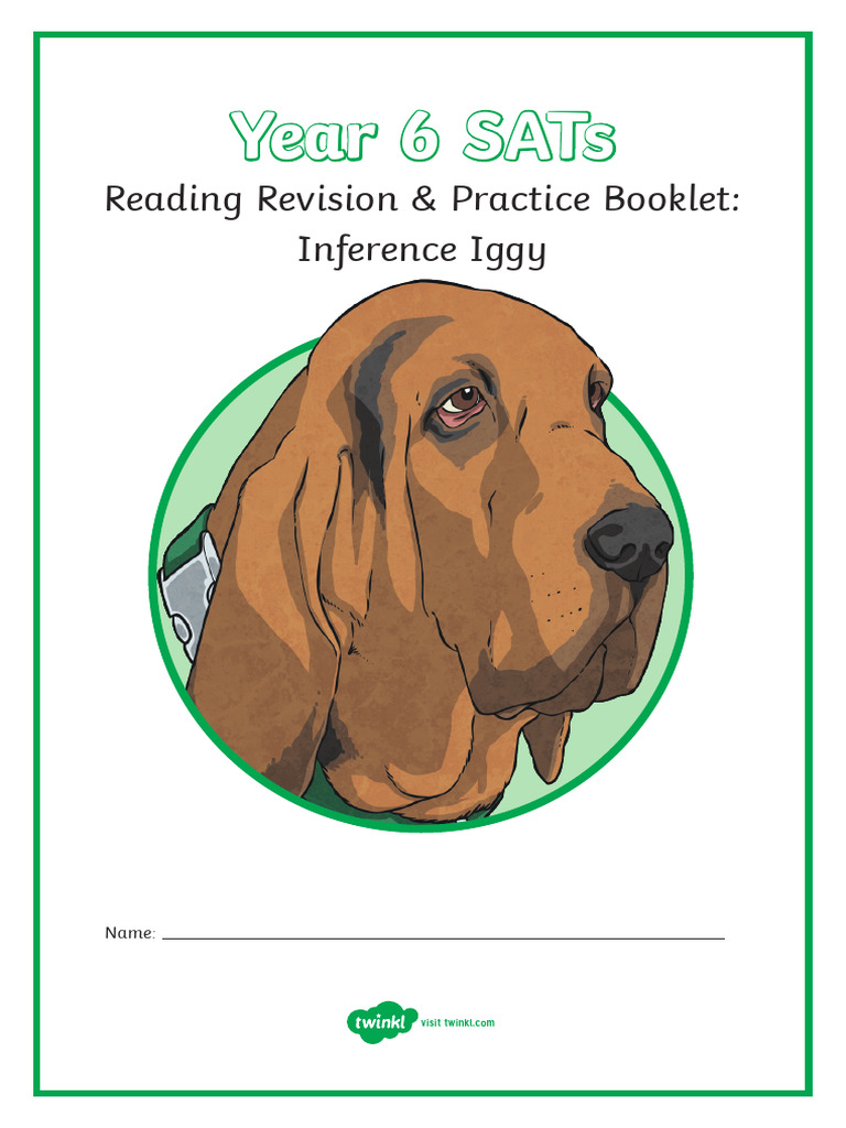 Year 6 SATs Survival Reading Revision Practice Inference Iggy Booklet ...