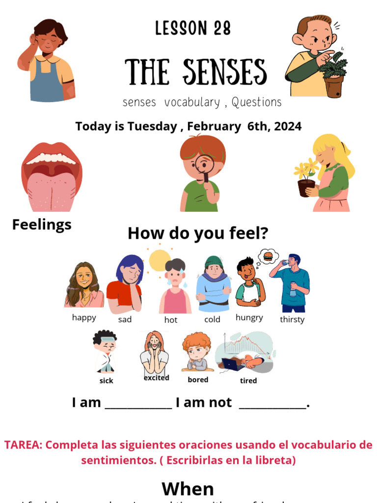 Senses and Feelings Vocabulary Lesson | PDF | Senses | Behavioral ...