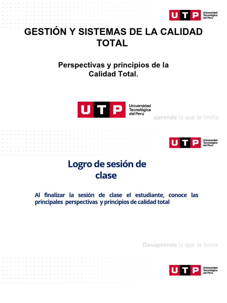 Gestión Y Sistemas de La Calidad Total | Descargar gratis PDF | Calidad (comercial) | Liderazgo