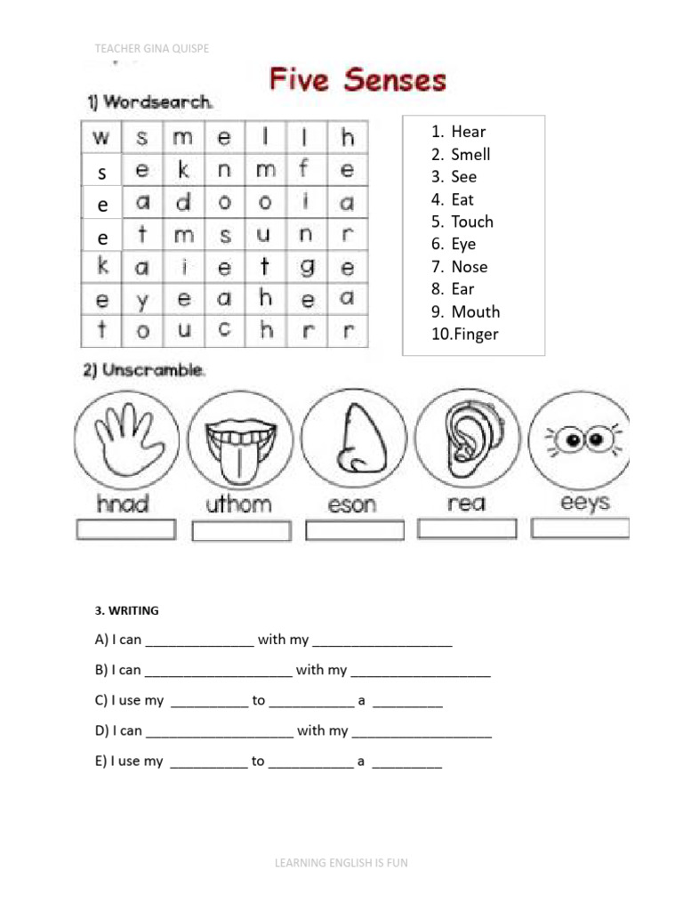 Five Senses - Writing - Kids | PDF