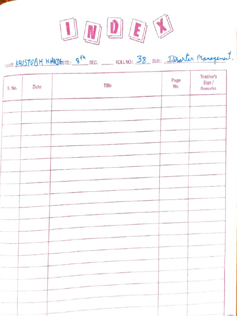 38 Disaster Management Assignment | PDF