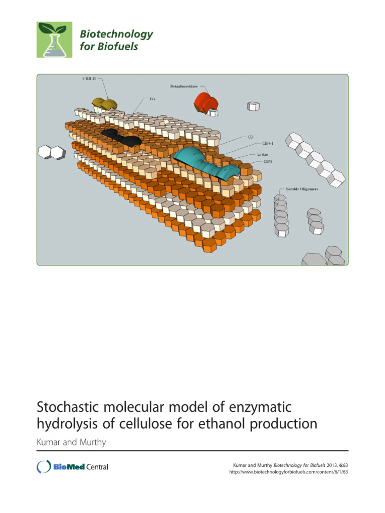 Stochastic Molecular Model of Enzymatic Hydrolysis of Cellulose For Ethanol Production | PDF ...