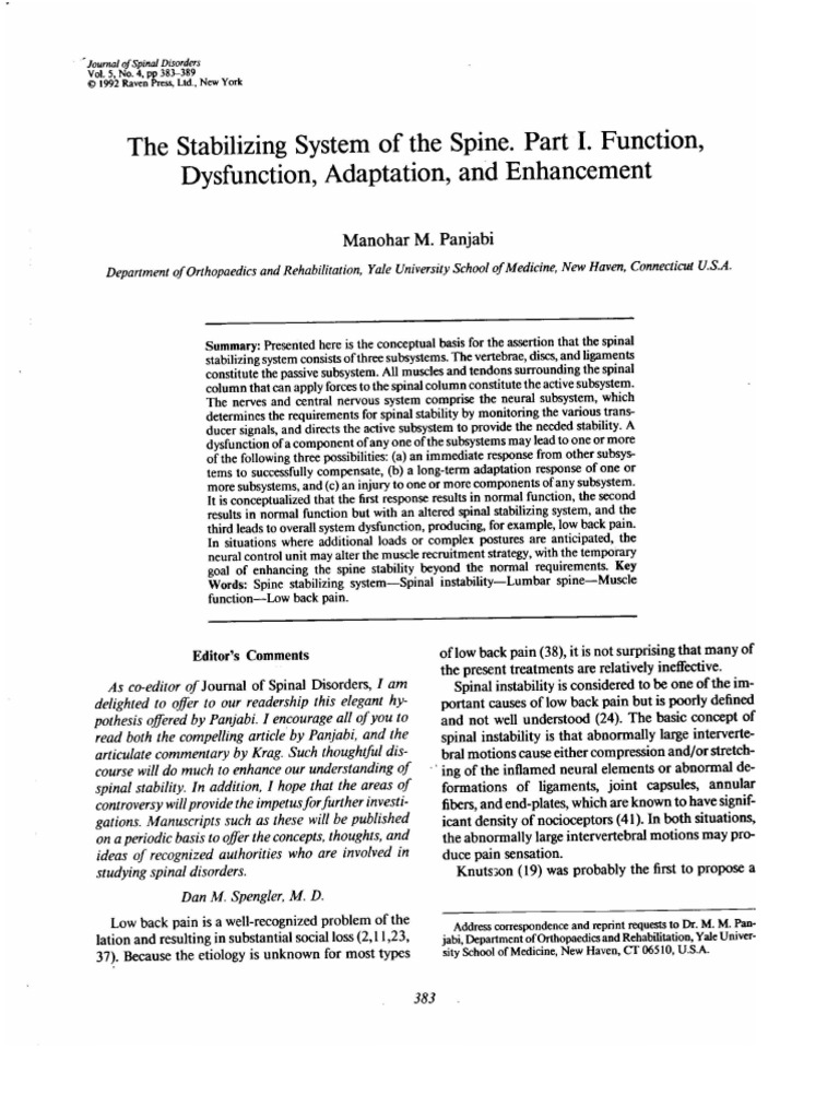 160, Panjabi, 1992, Stabilizing System PT 1 | PDF