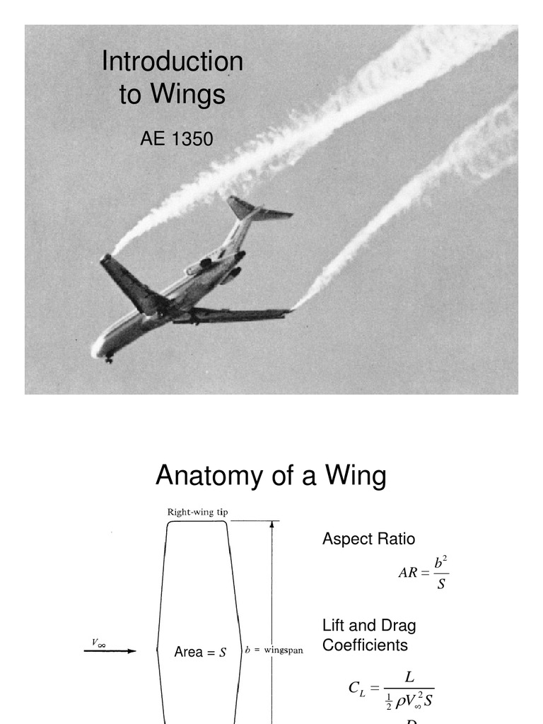 An In-Depth Look at Wing Design and Aerodynamic Principles | PDF | Flap ...