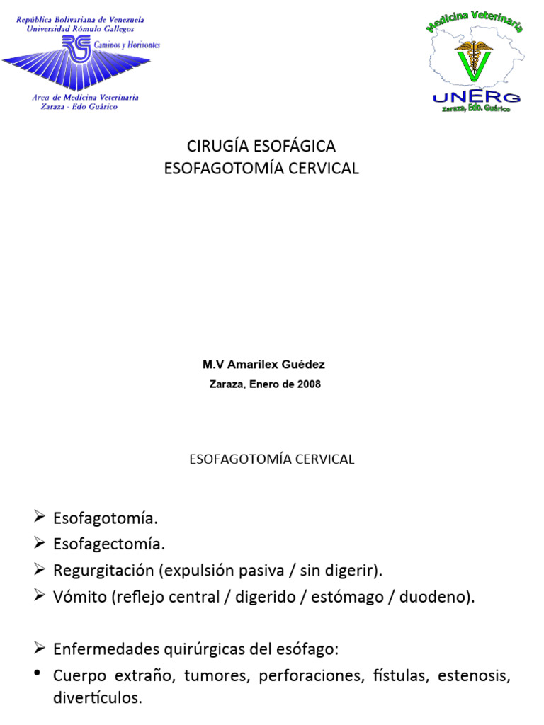 CLASE 10 Esofagotomía Cervical Amarilex | PDF | Esófago | Tiroides
