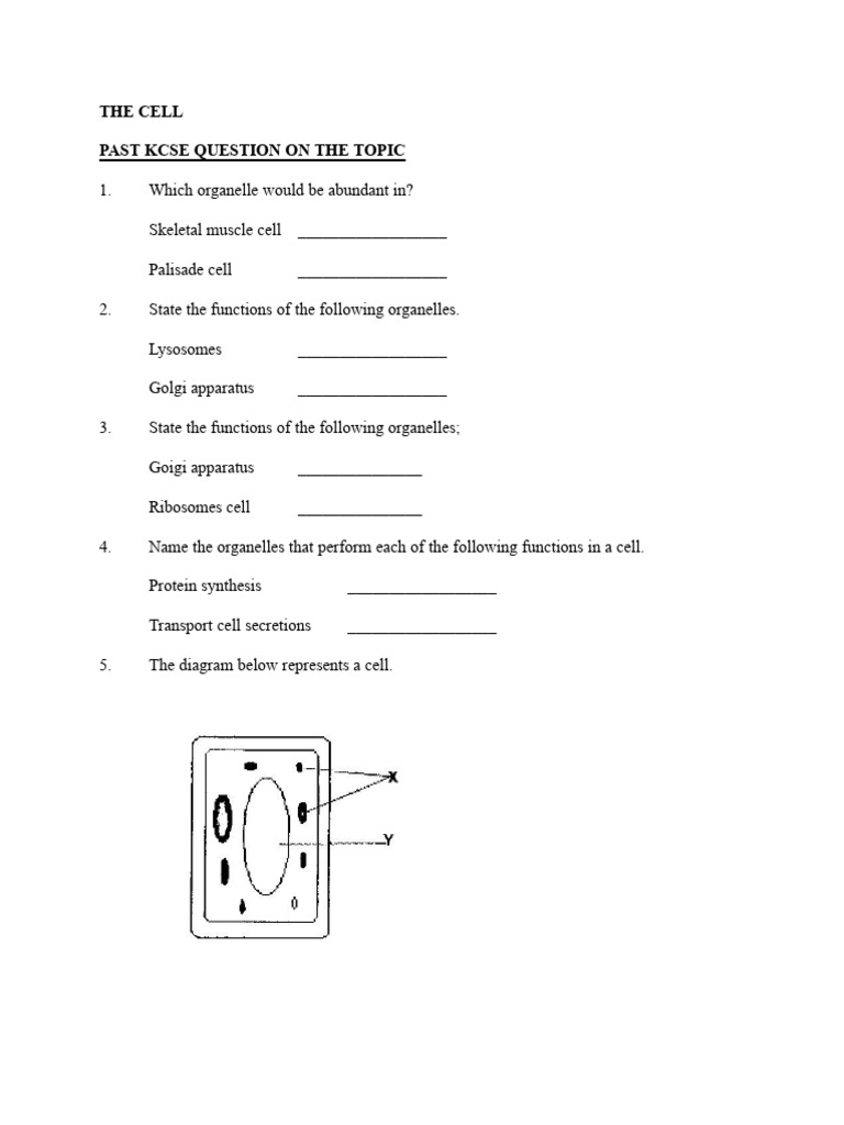 Form 1 The Cell Questions Teacher - Co .Ke | PDF