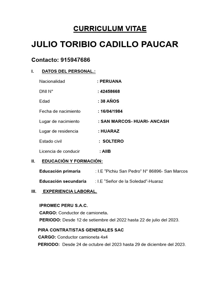 Curriculum Vitae-Julio Cadillo | PDF