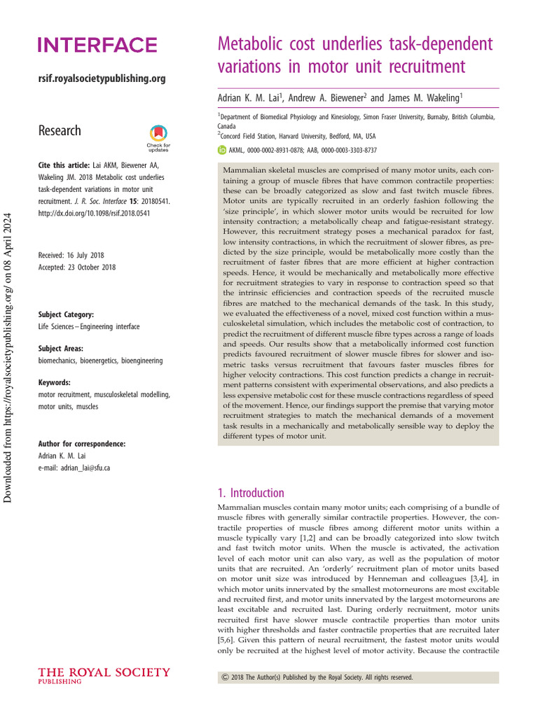 Motor Unit Recruitment and Metabolic Cost | PDF | Muscle Contraction ...
