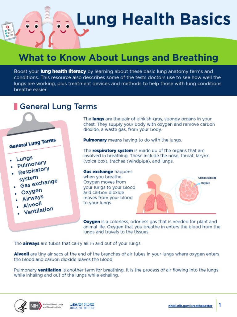 lung_health_basics_fact_sheet | PDF | Lung | Respiratory Diseases
