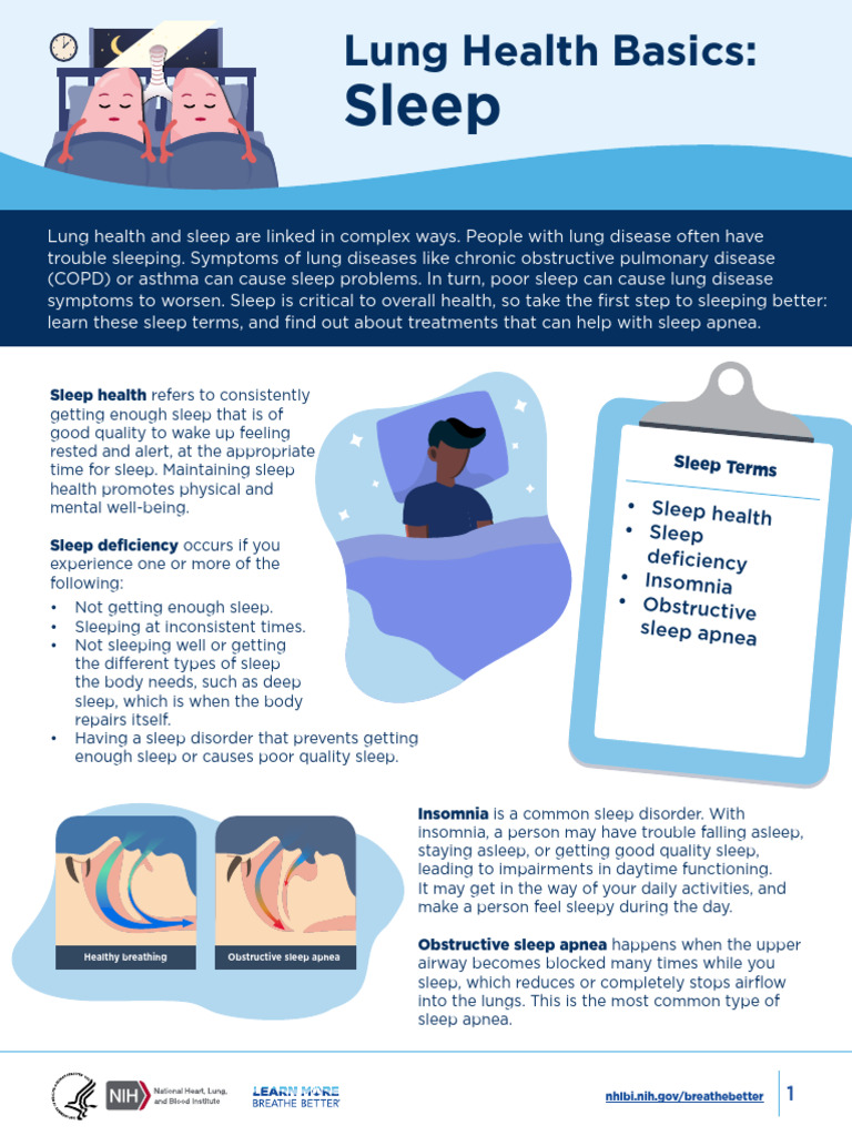 Lung Basics Sleep Fact Sheet | PDF | Sleep | Sleep Apnea
