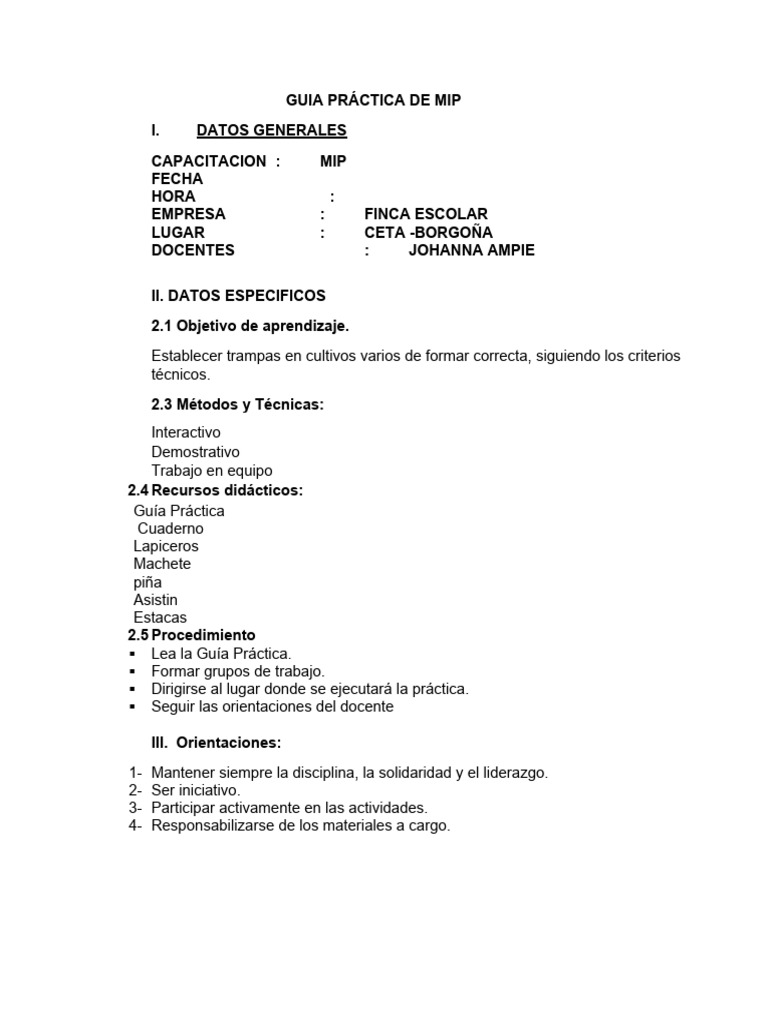 GUIA PRÁCTICA Mip | PDF | Negocios